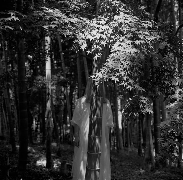 Yang Yuwen Exhibition Report via PCT – TOTEM POLE PHOTO GALLERY