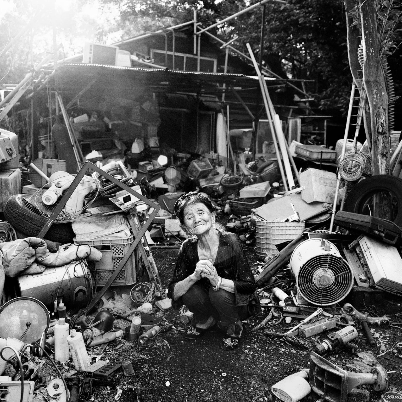 Tokyo Turtle Dove 2 – TOTEM POLE PHOTO GALLERY